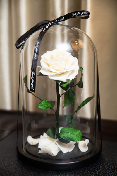 Le' Bria Single Rose 3 – Chi Fleurs